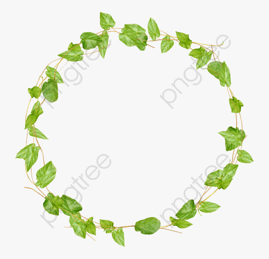 Vine Clipart Circular - Green Leaf Frame Png , Free Transparent Clipart ...