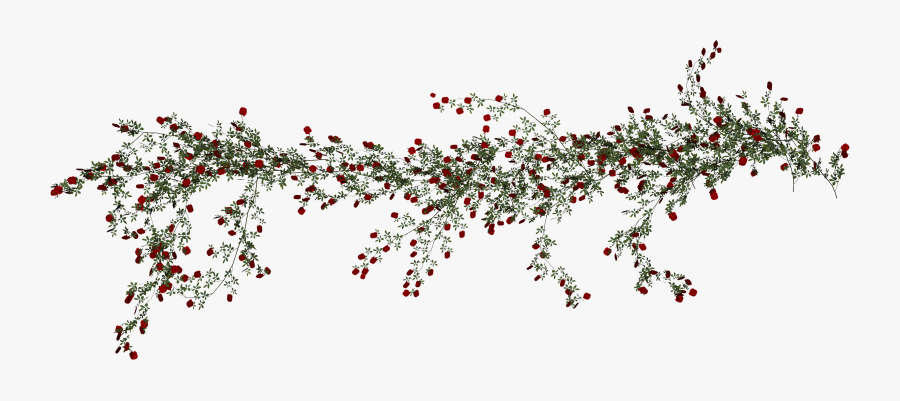 Transparent Rose Vine Png , Free Transparent Clipart - ClipartKey