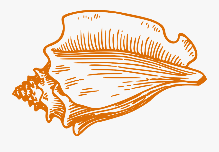 Conch Shell Clip Art , Free Transparent Clipart - ClipartKey