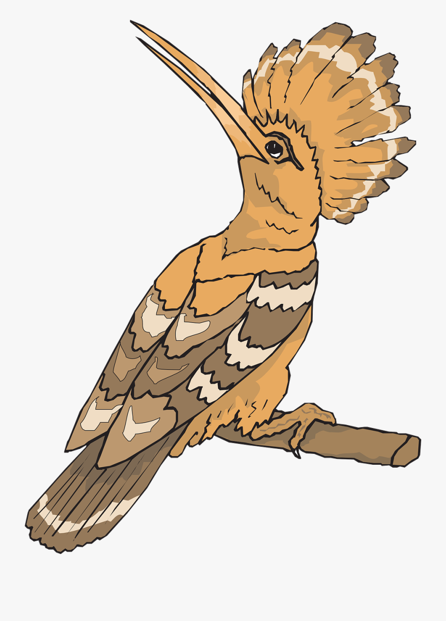 Hudhud Pakshi Ki Drawing , Free Transparent Clipart - ClipartKey