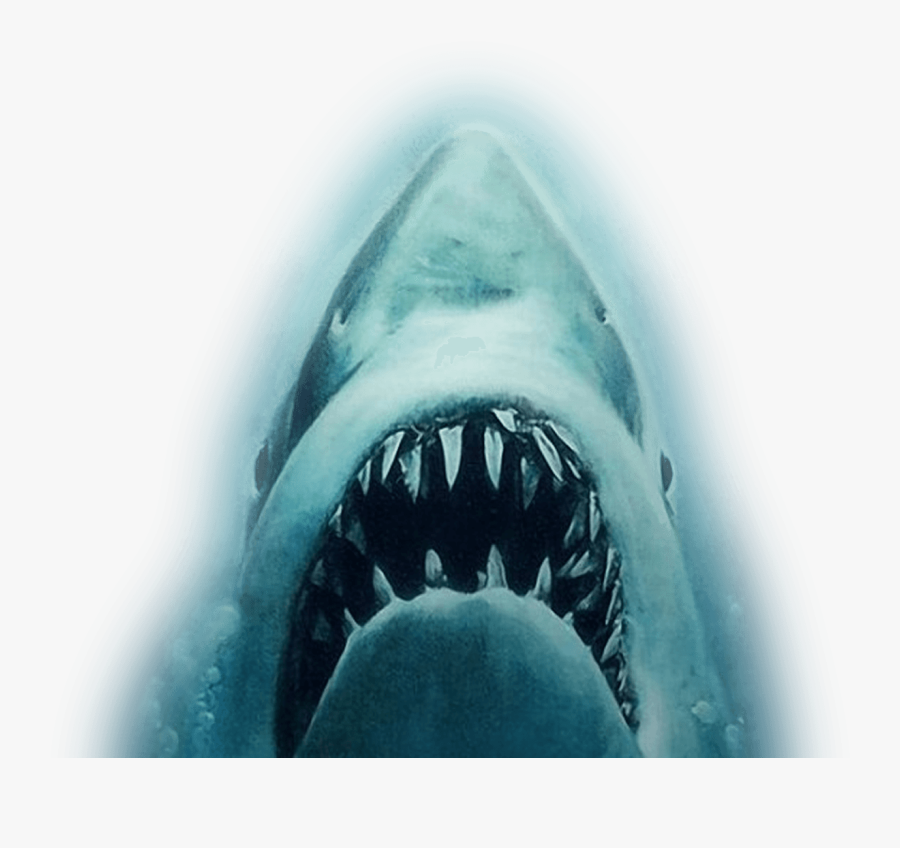 Jaws Happy 4th Of July , Free Transparent Clipart - ClipartKey