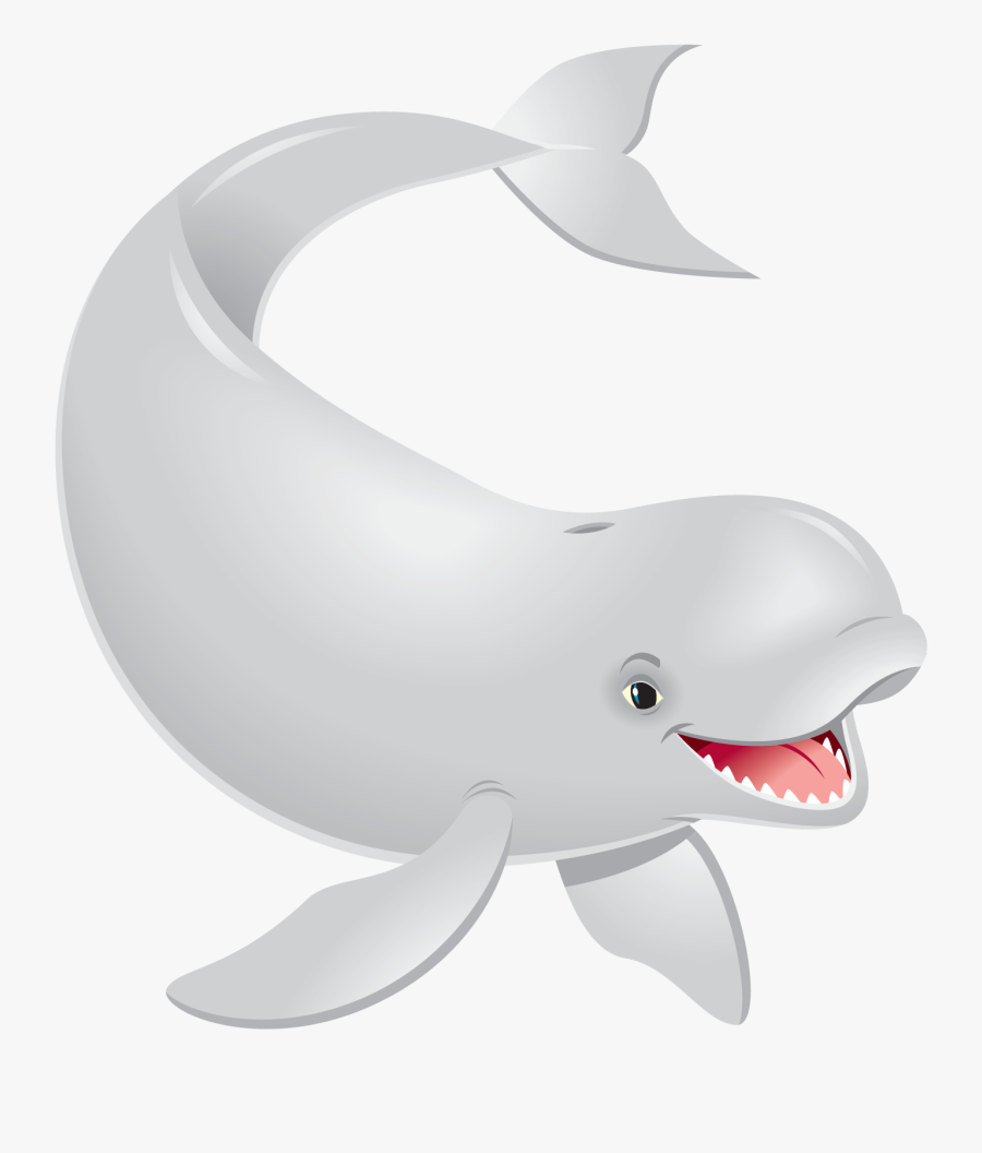 Transparent Beluga Whale Png , Free Transparent Clipart - ClipartKey