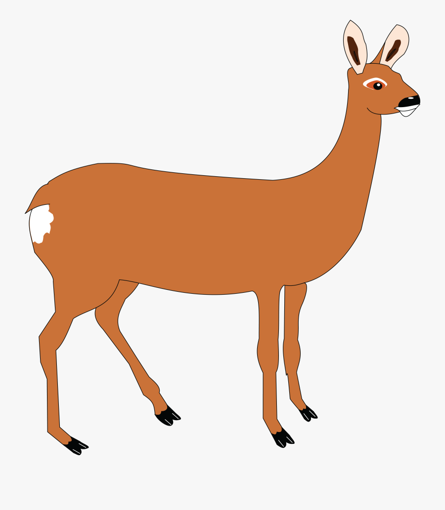 Doe Clipart , Free Transparent Clipart - ClipartKey