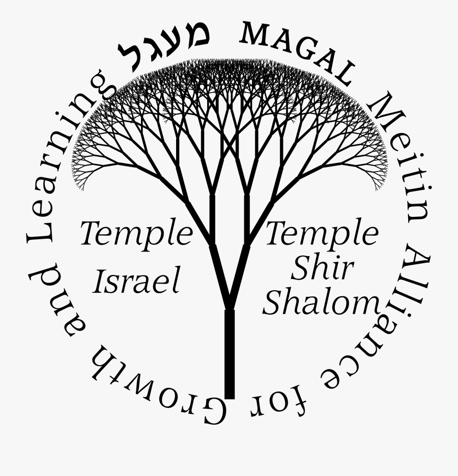 Magal Hebrew School - Root , Free Transparent Clipart - ClipartKey