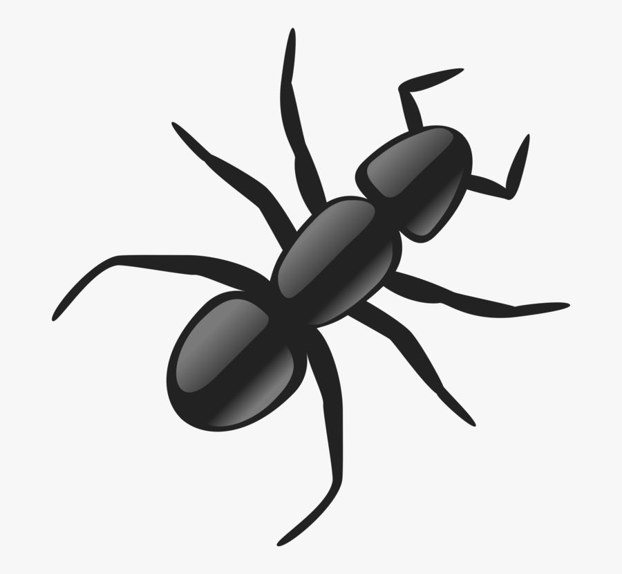 Gray Ant Clip Art - Transparent Background Clip Art Ant , Free ...
