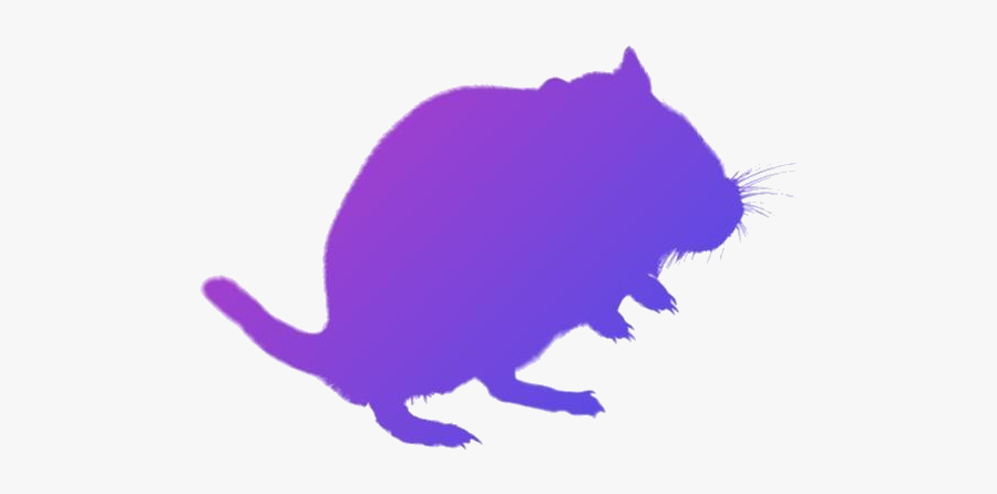 Gerbil Png Transparent Images - Illustration , Free Transparent Clipart ...