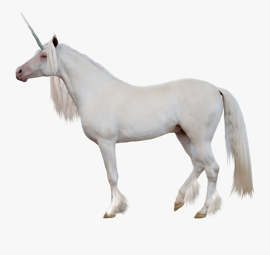 Side View Of A Unicorn , Free Transparent Clipart - ClipartKey