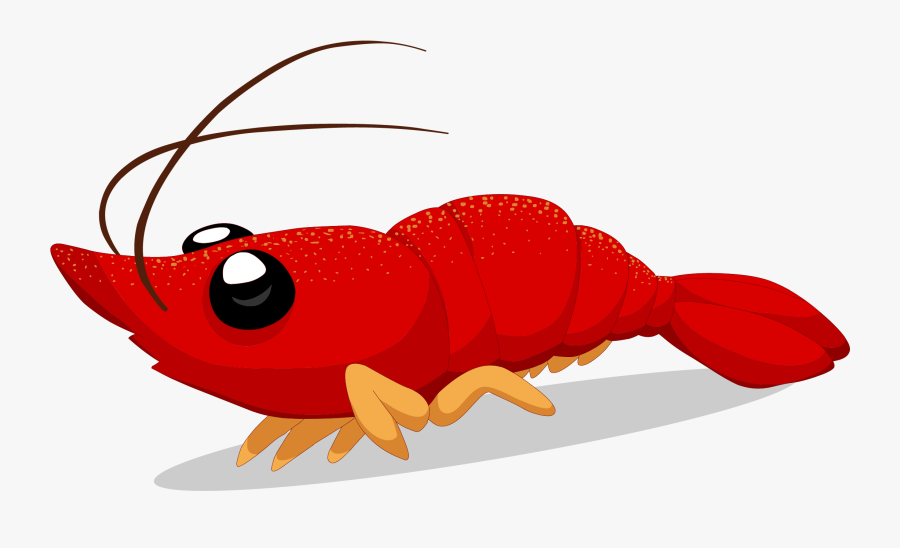 Crayfish Cartoon Illustration - Crayfish Cartoon , Free Transparent ...