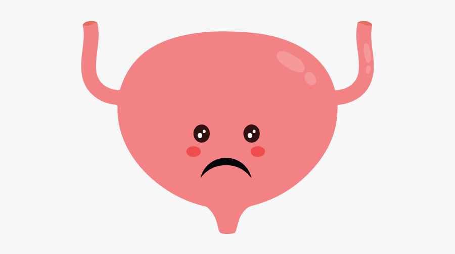 Bladder Clipart