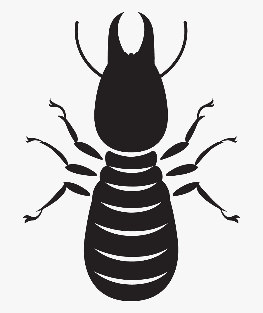 Termite Images Vector , Free Transparent Clipart - ClipartKey