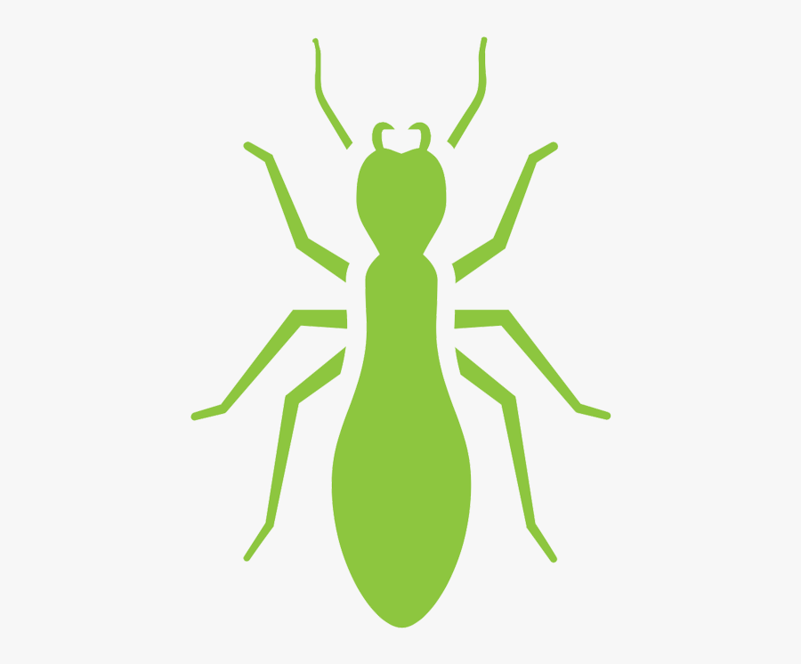 Termite , Free Transparent Clipart - ClipartKey