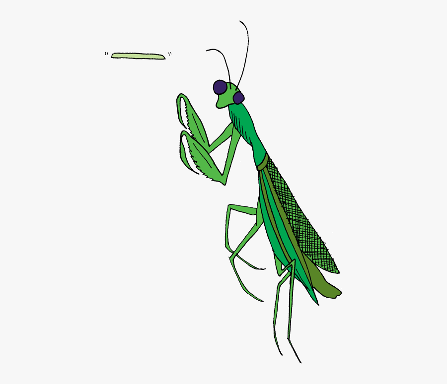 Transparent Praying Mantis Clip Art - Transparent Praying Mantis ...