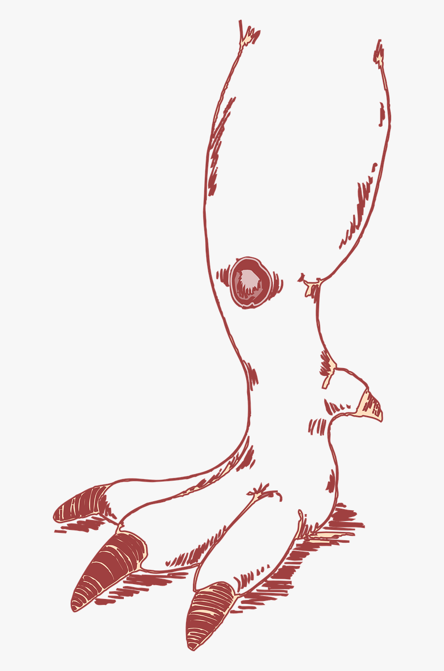 Red Dangerous Claws - Animal Legs Clipart , Free Transparent Clipart ...