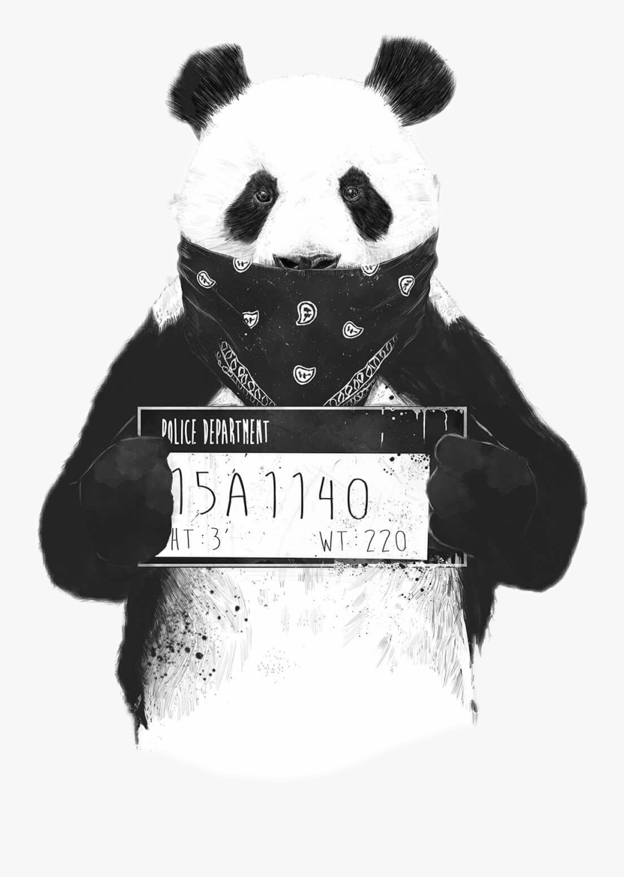 Panda - Bad Panda , Free Transparent Clipart - ClipartKey