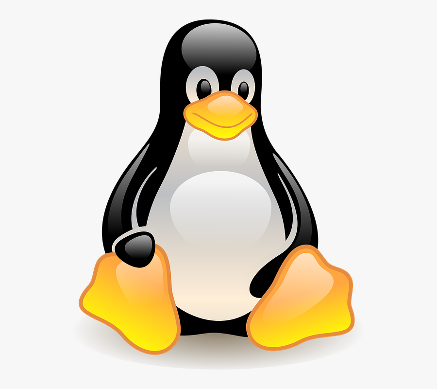 Linux Shared Web Hosting , Free Transparent Clipart - ClipartKey
