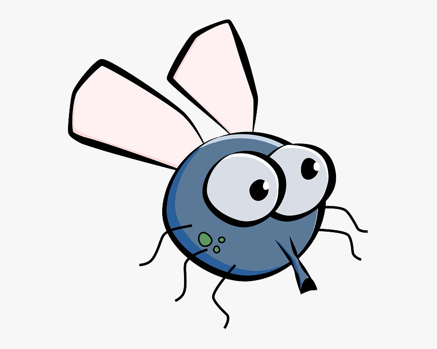 Fly Cartoon Png , Free Transparent Clipart - ClipartKey