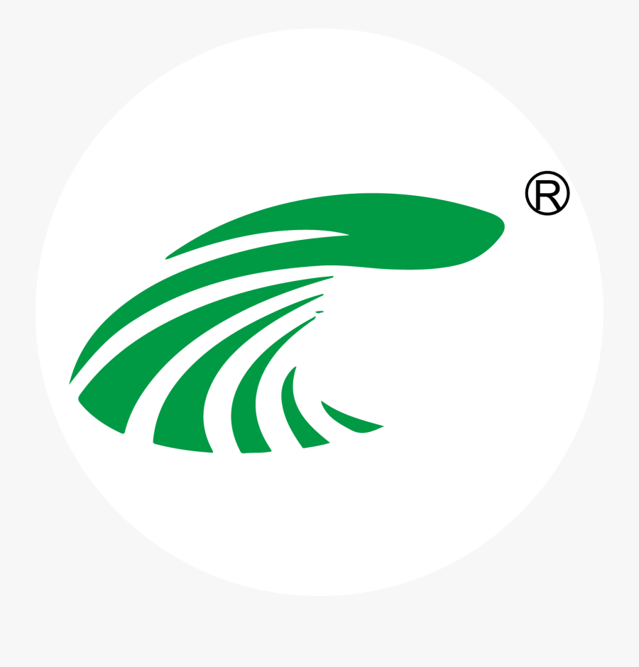 山下 達郎 Ray Of Hope , Free Transparent Clipart - ClipartKey