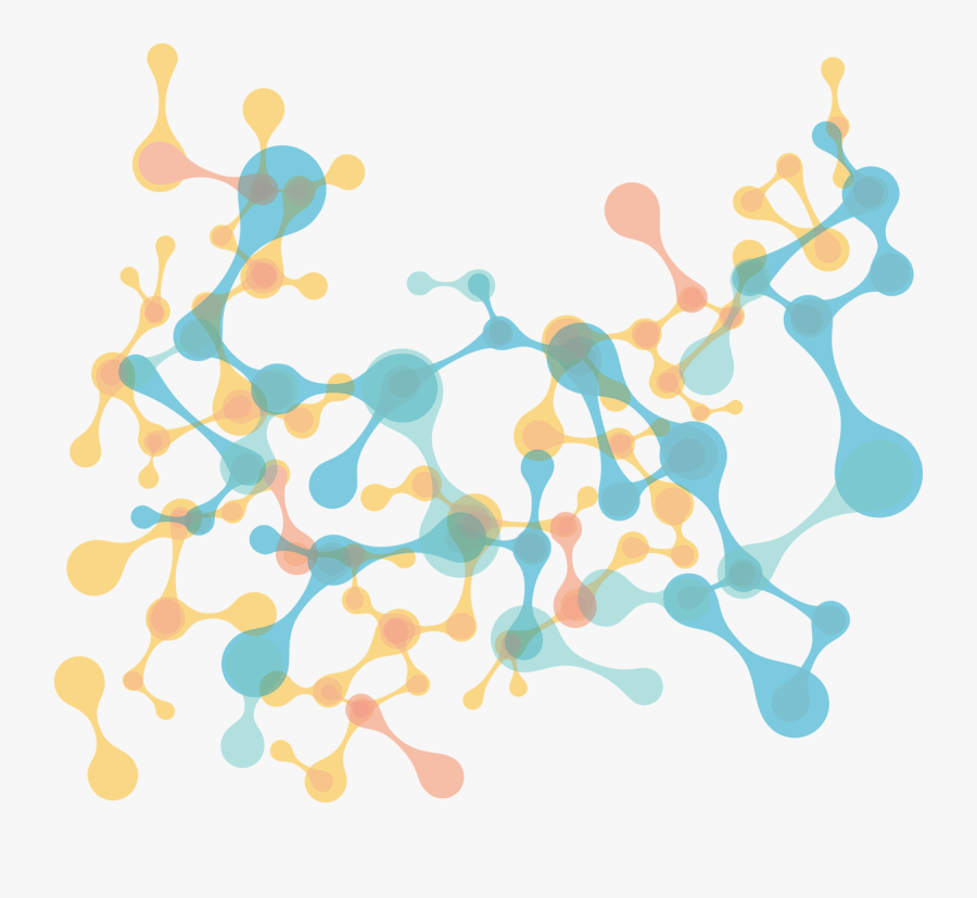 Physiology Background , Free Transparent Clipart - ClipartKey