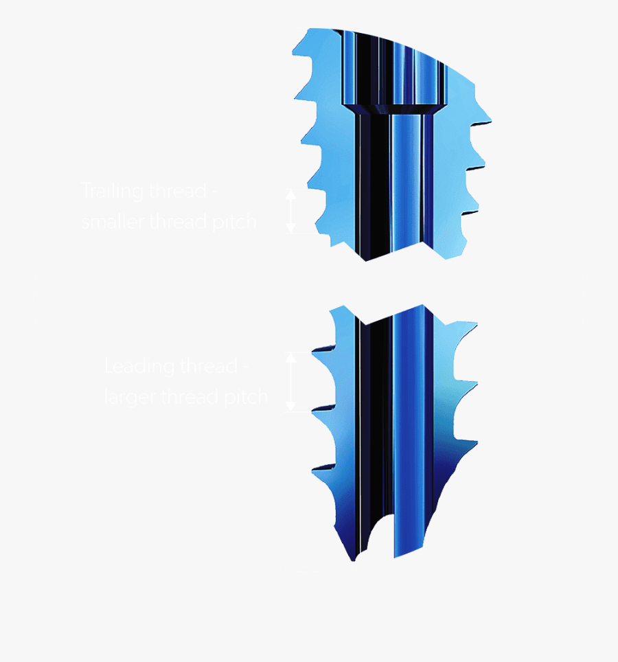 Differential Thread Pitch , Free Transparent Clipart - ClipartKey