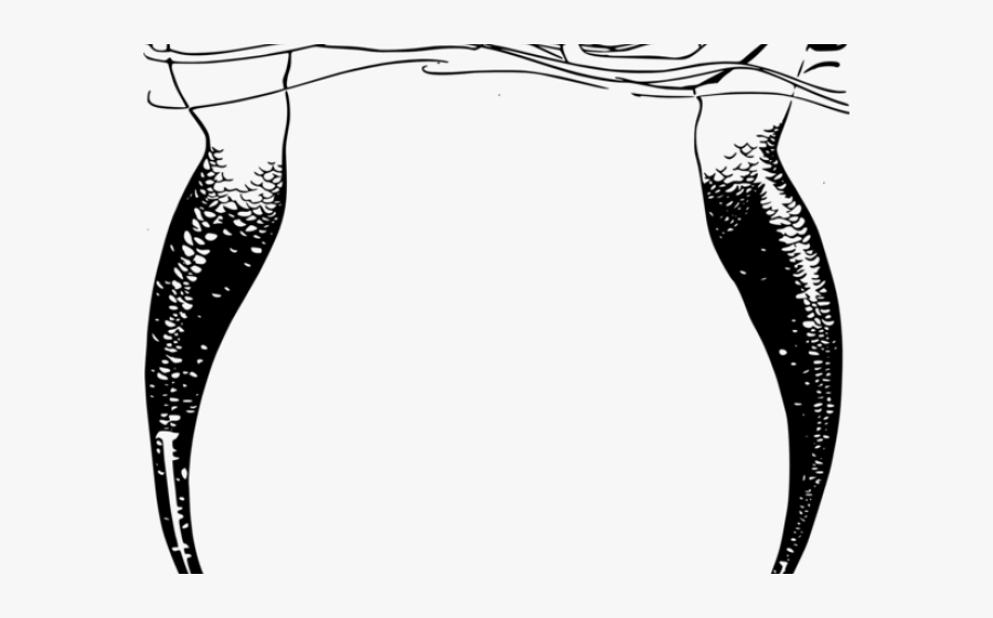 Transparent Mermaid Frame Png , Free Transparent Clipart - ClipartKey