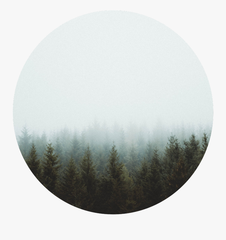 Transparent Forrest Png - Circle , Free Transparent Clipart - ClipartKey
