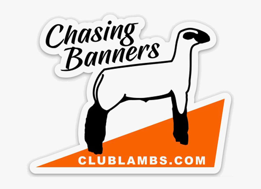 Show Lamb Stickers For Sale Clipart , Png Download , Free Transparent ...