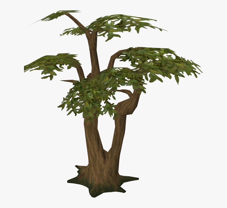 Jungle Tree Png Transparent Picture - Jungle Tree Transparent ...