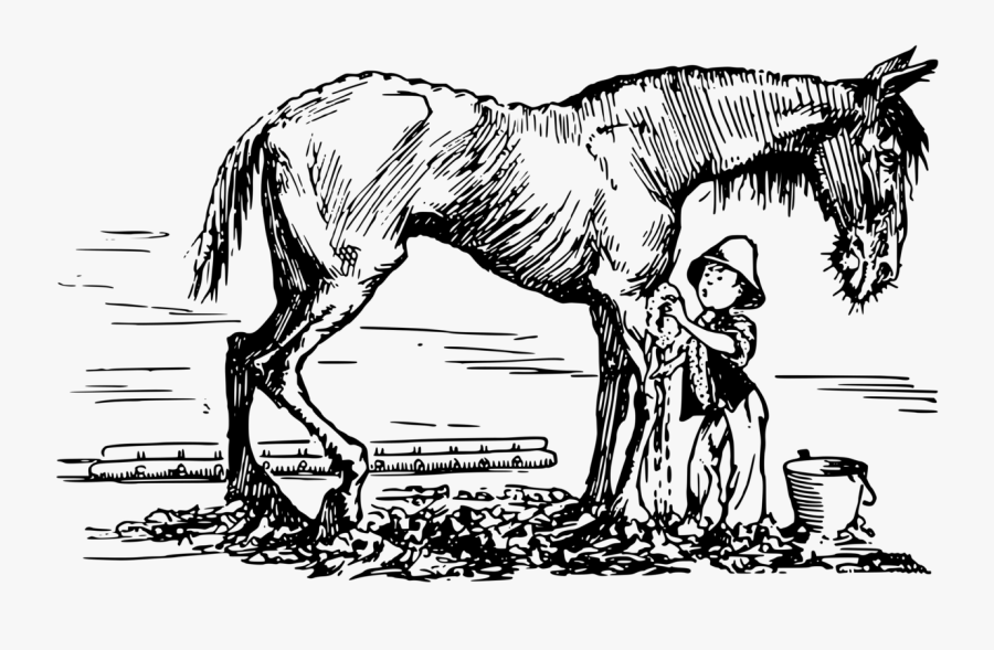 Donkey,pony,livestock - Caballo Flaco Y Desgarbado , Free Transparent ...