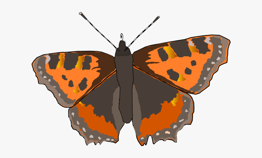 Butterfly,symmetry,moth - Nymphalis , Free Transparent Clipart - ClipartKey