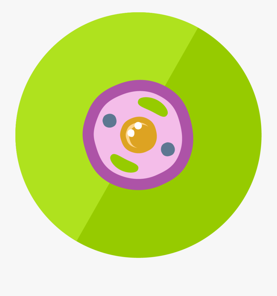 The Animal Cell - Animal Cell Icon Png , Free Transparent Clipart ...