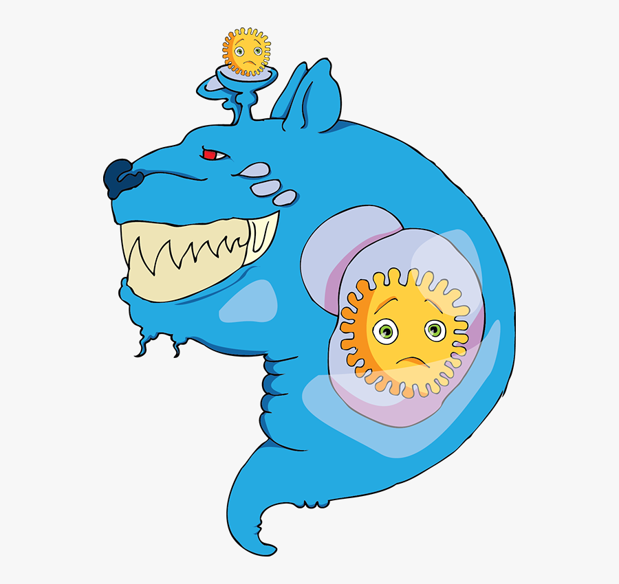 Macrofago Dibujo Animado , Free Transparent Clipart - ClipartKey