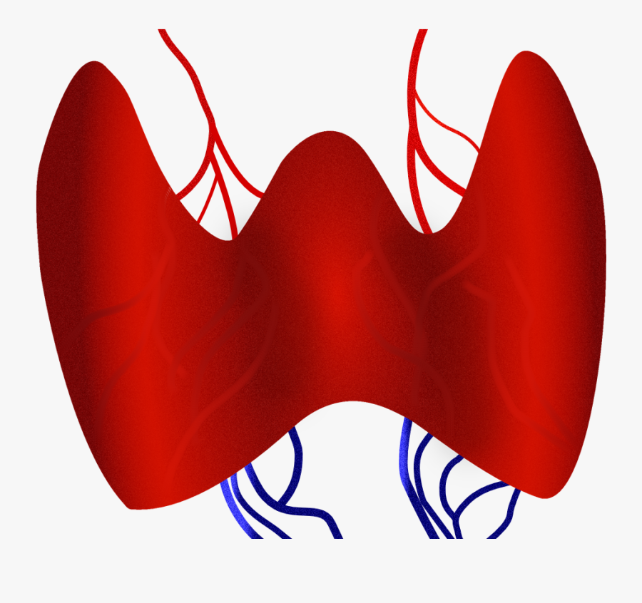 Thyroid Clipart , Png Download , Free Transparent Clipart - ClipartKey