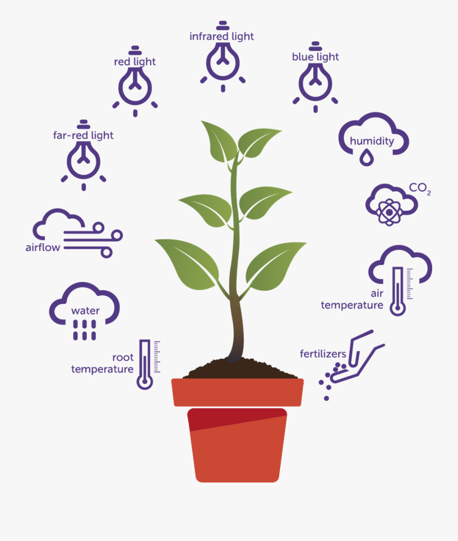 Planting Clipart Cultivation - Plant Abiotic Stress Clip Art , Free ...