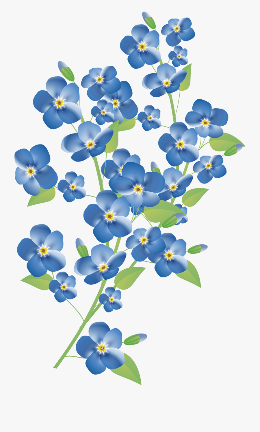 Transparent Forget Me Not Clipart , Free Transparent Clipart - ClipartKey