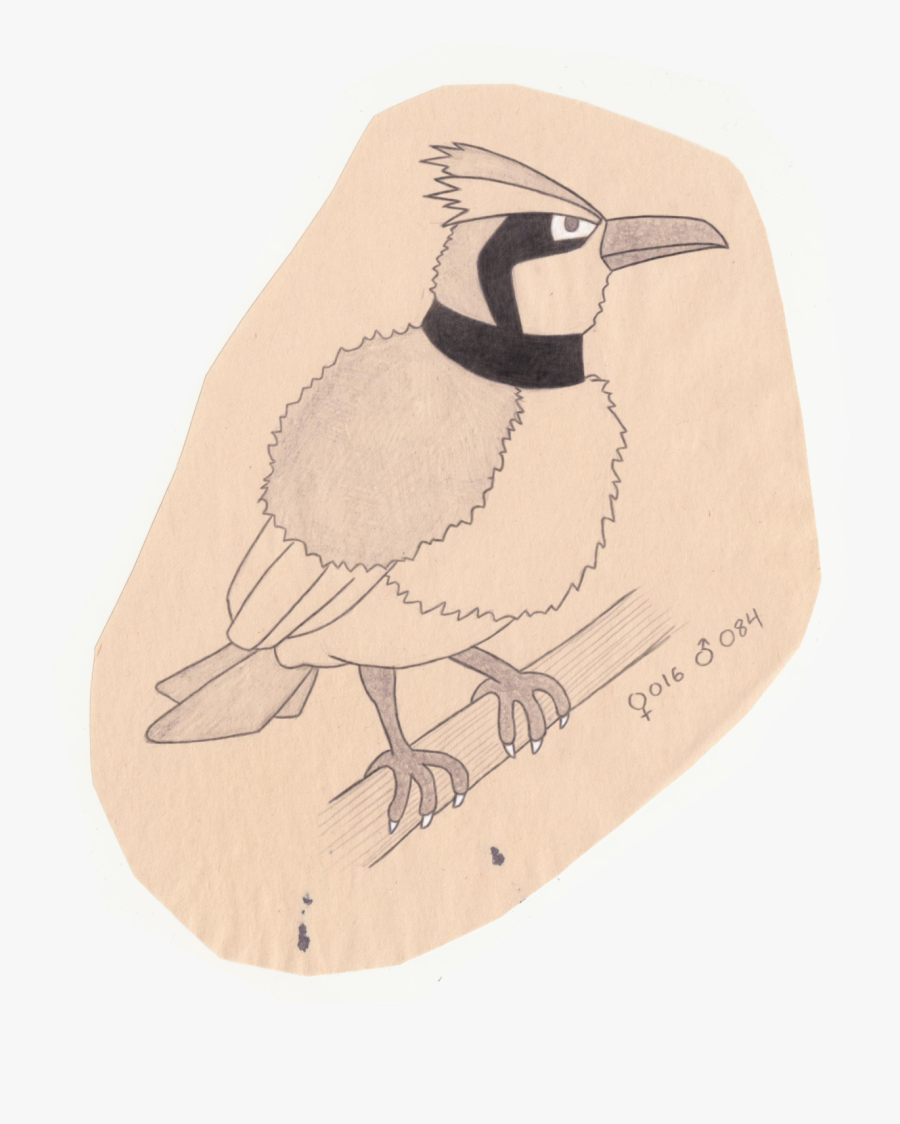 Tiny Bird Pokemon - Piciformes , Free Transparent Clipart - ClipartKey