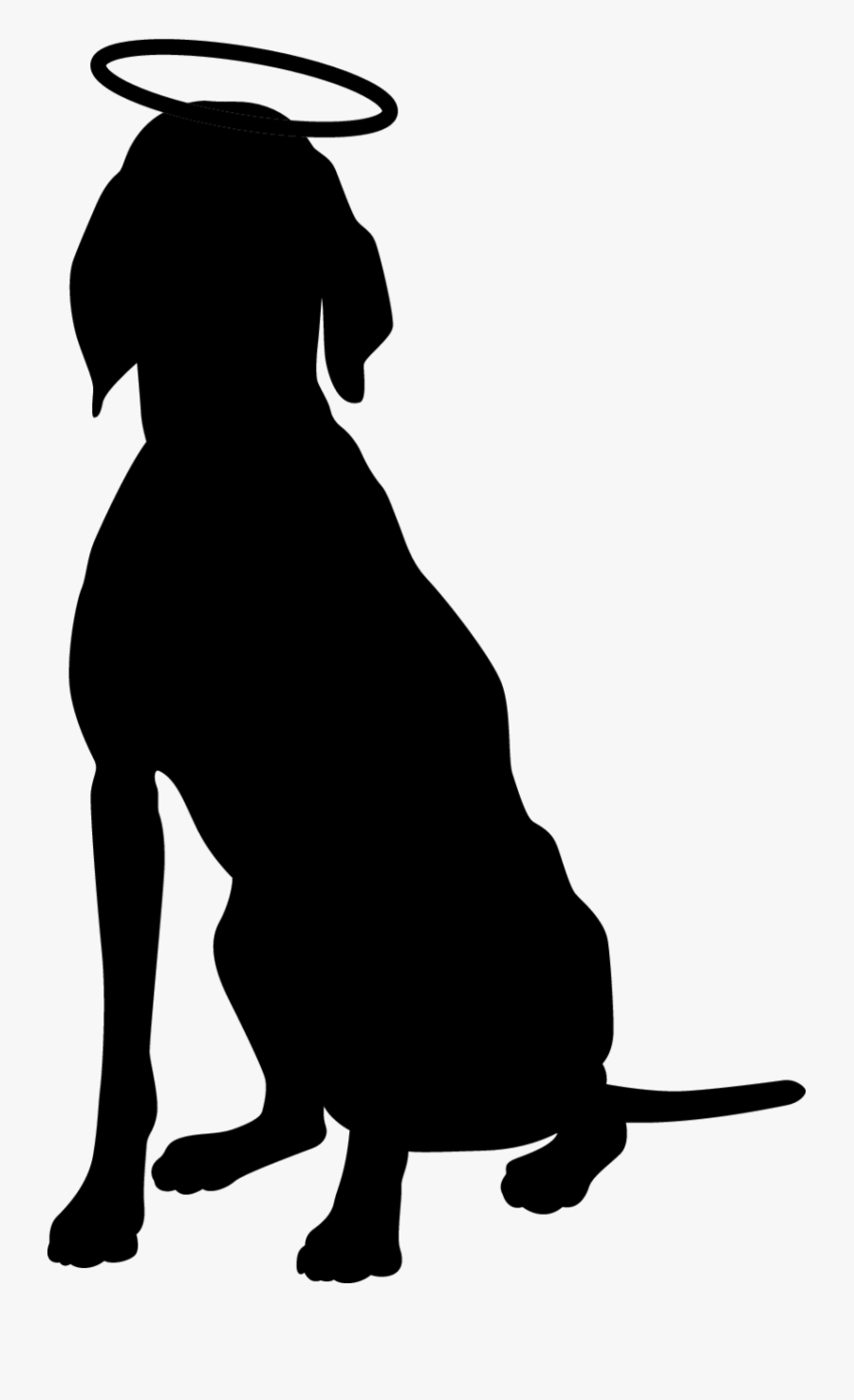 The Weimaraner English Setter German Shorthaired Pointer - Vizsla ...