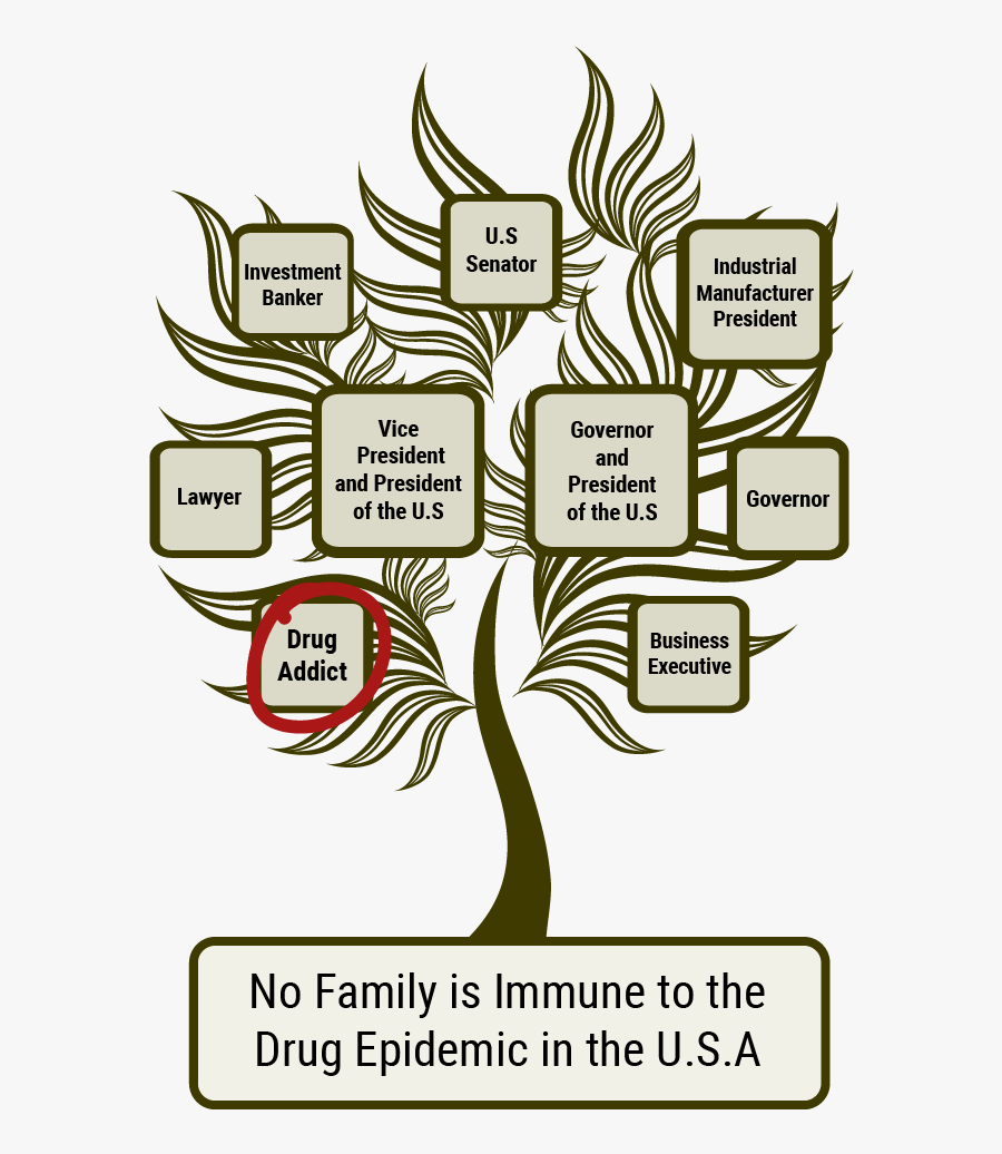 Drug Addict Family Tree , Free Transparent Clipart - ClipartKey