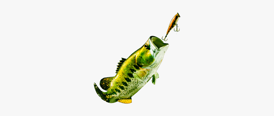 Masters Of Bass Longform - Bass Fish Youtube Banner , Free Transparent ...