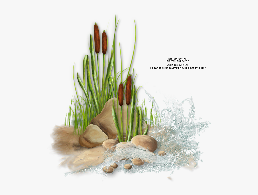 Png Scrapbook Clusters Free , Free Transparent Clipart - ClipartKey