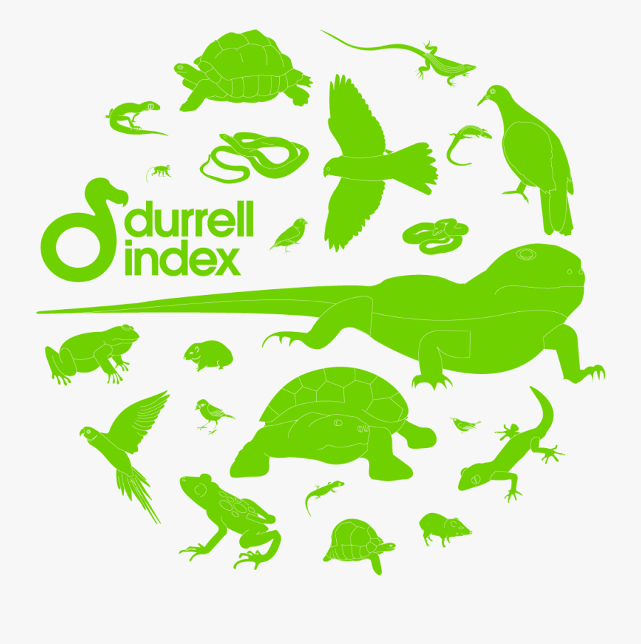 Durrell Logo , Free Transparent Clipart - ClipartKey