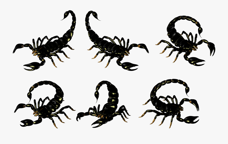 Scorpions Clip Art - Scorpion , Free Transparent Clipart - ClipartKey