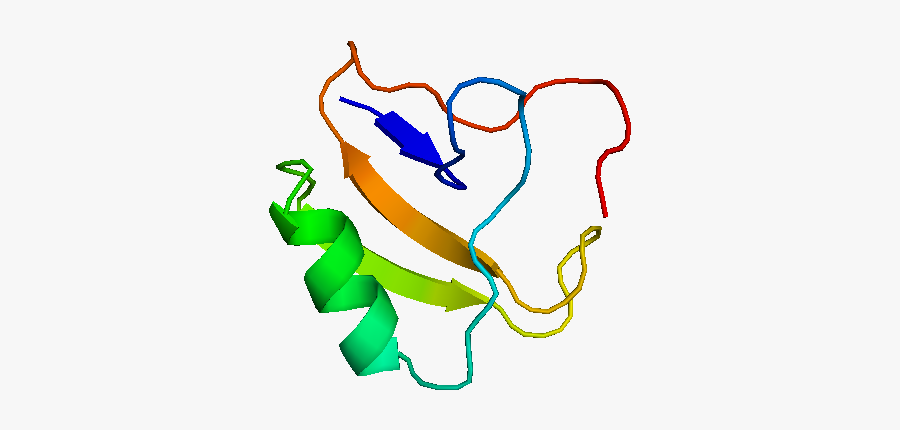 Scorpion Alpha Toxin Structure , Free Transparent Clipart - ClipartKey