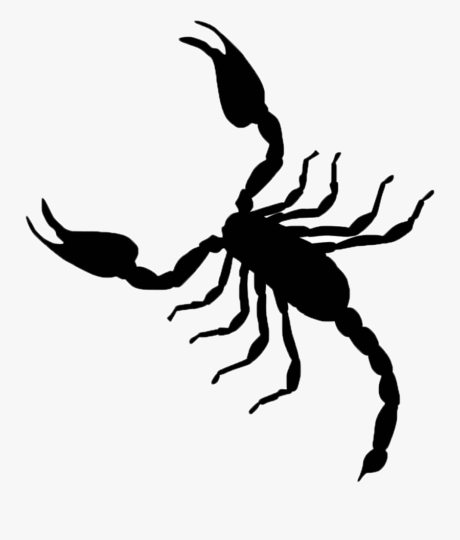 Scorpion Vector Graphics Clip Art Illustration Image - Scorpion Vector ...
