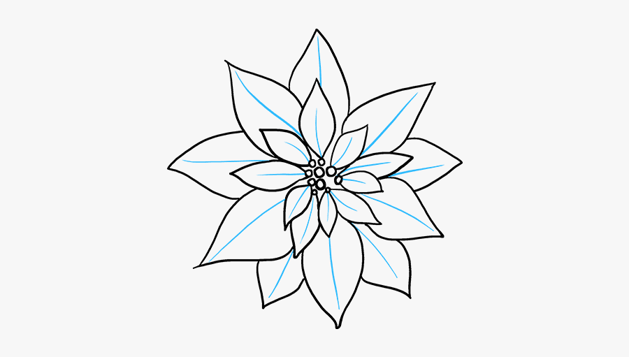 How To Draw Poinsettia - Poinsettia Simple Drawing , Free Transparent ...