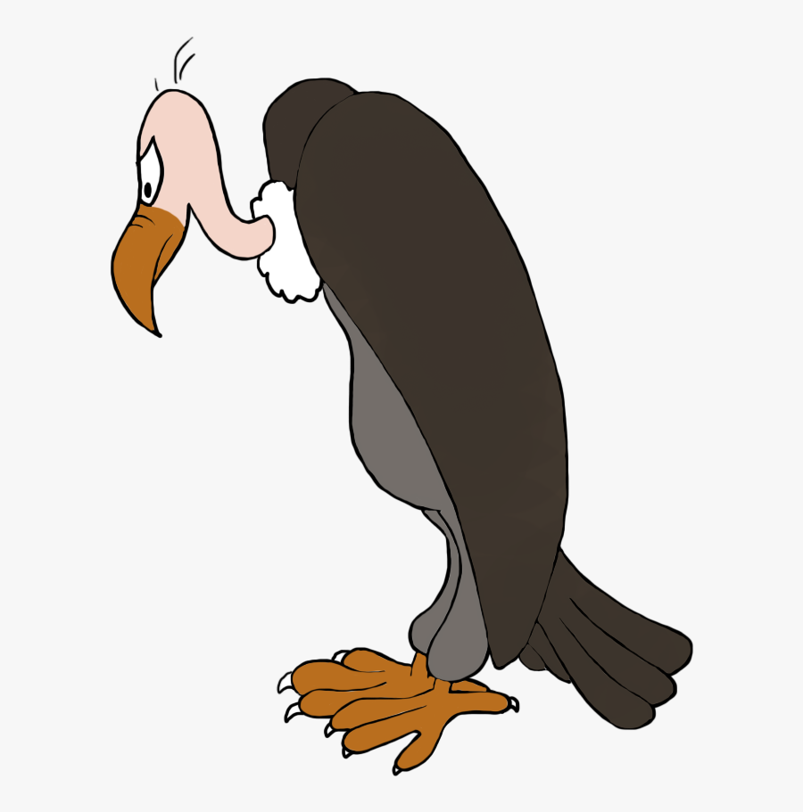 Bird Clip Art Vulture - Png Cartoon Vulture Transparent , Free ...