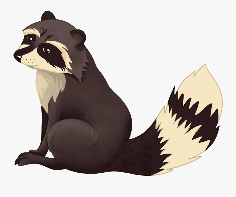 Procyon , Free Transparent Clipart - ClipartKey