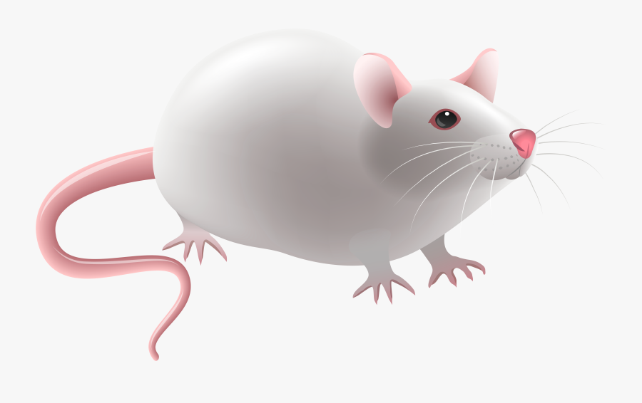 Mouse Png Clip Art - Mouse Clipart Png , Free Transparent Clipart ...