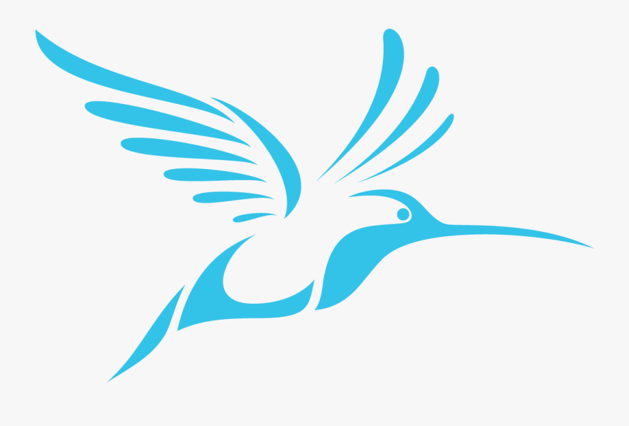 Hummingbird Clipart Polynesian - Logo Hd Bird Sport , Free Transparent ...