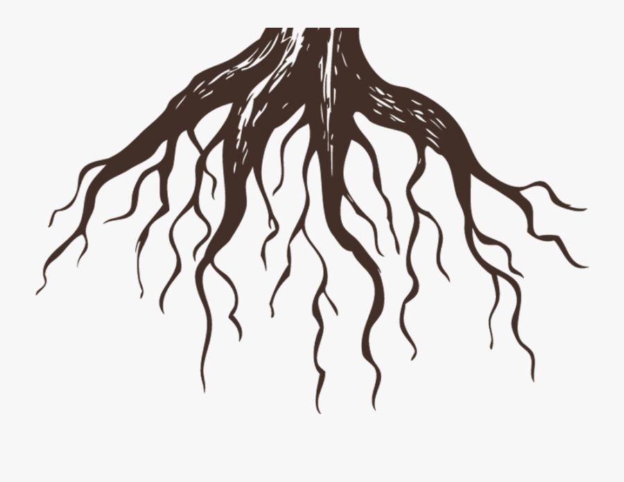 Chinese Bamboo Tree Roots , Free Transparent Clipart - ClipartKey