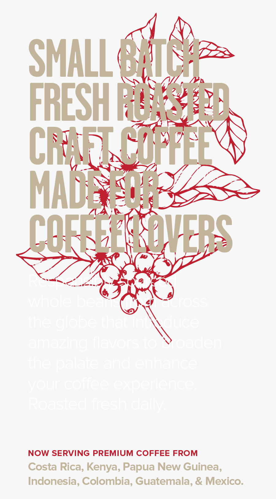 Brew Love Text - Graphic Design , Free Transparent Clipart - ClipartKey